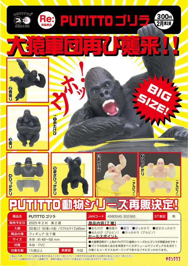 【2月先行受注】【二次予約】《再販》PUTITTO ゴリラ（40個入り）【ｷﾀﾝｸﾗﾌﾞ】 | ガチャガチャ・カプセルトイ・空カプセル通販専門【あミューズ】